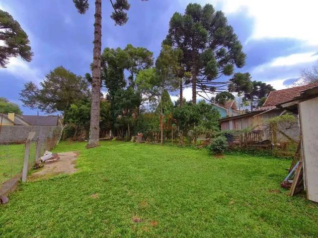 Terreno / Lote para Venda em Canela/RS Centro