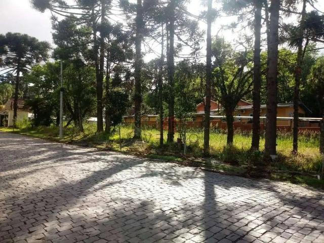 Terreno / Lote para Venda em Canela/RS Centro