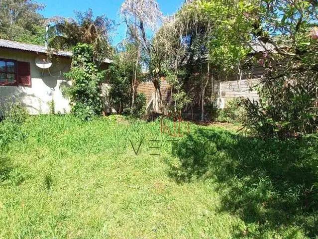 Terreno / Lote para Venda em Canela/RS Centro