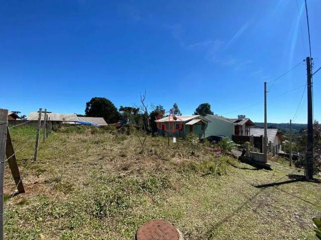 Terreno / Lote para Venda em Canela/RS Centro
