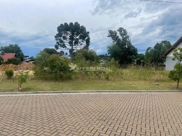 Terreno / Lote para Venda em Canela/RS Centro
