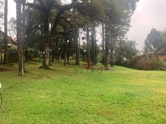 Terreno / Lote para Venda em Canela/RS Centro