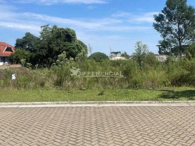 Terreno / Lote para Venda em Canela/RS Centro
