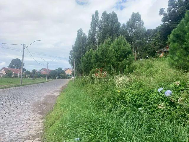 Terreno / Lote para Venda em Canela/RS Centro