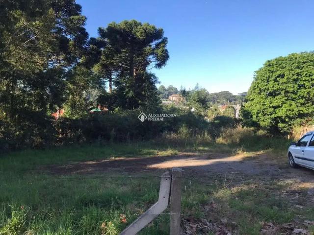 Terreno / Lote para Venda em Canela/RS Centro