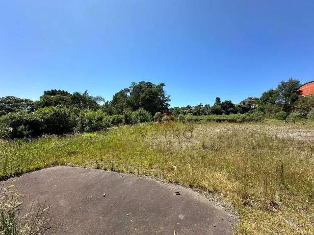 Terreno / Lote para Venda em Canela/RS Centro