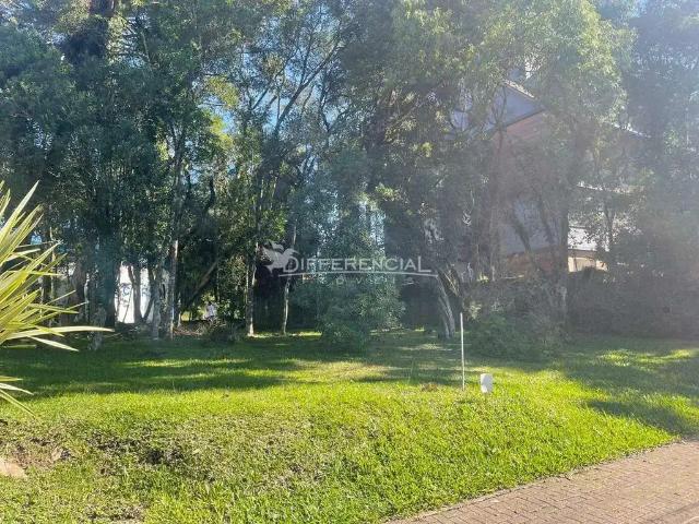 Terreno / Lote para Venda em Canela/RS Centro
