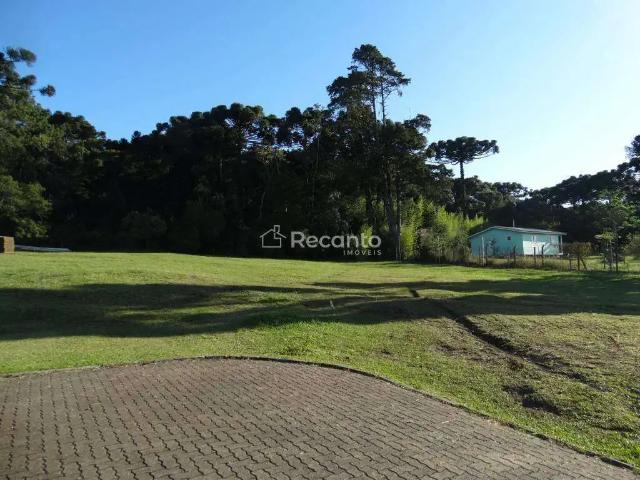 Terreno / Lote para Venda em Canela/RS Centro