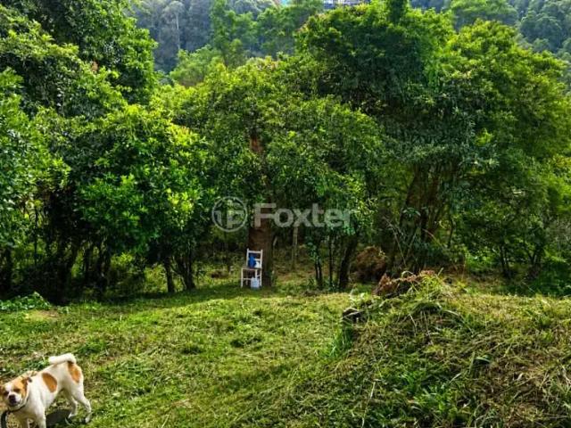 Terreno / Lote para Venda em Canela/RS Eugênio Ferreira