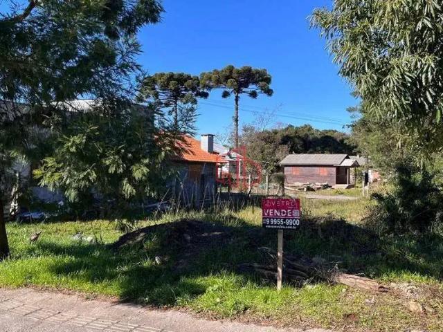 Terreno / Lote para Venda em Canela/RS Eugênio Ferreira