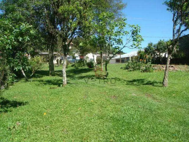 Terreno / Lote para Venda em Canela/RS Eugênio Ferreira