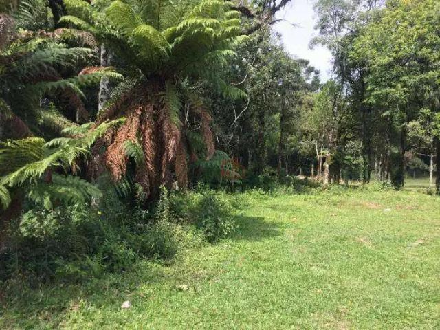Terreno / Lote para Venda em Canela/RS Jardim Mariana