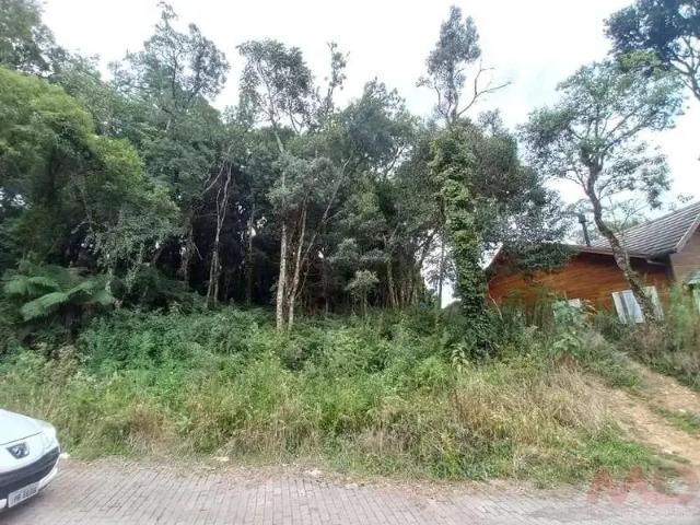 Terreno / Lote para Venda em Canela/RS Leodoro de Azevedo