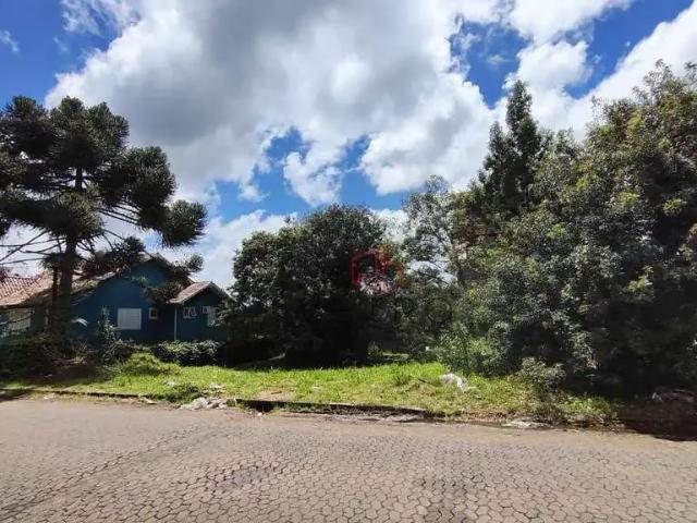 Terreno / Lote para Venda em Canela/RS Leodoro de Azevedo