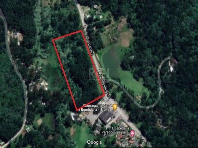 Terreno / Lote para Venda em Canela/RS Loteamento Central