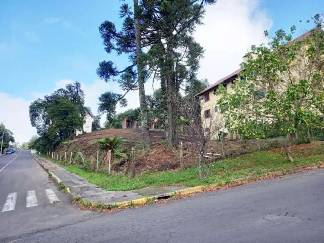 Terreno / Lote para Venda em Canela/RS Maggi