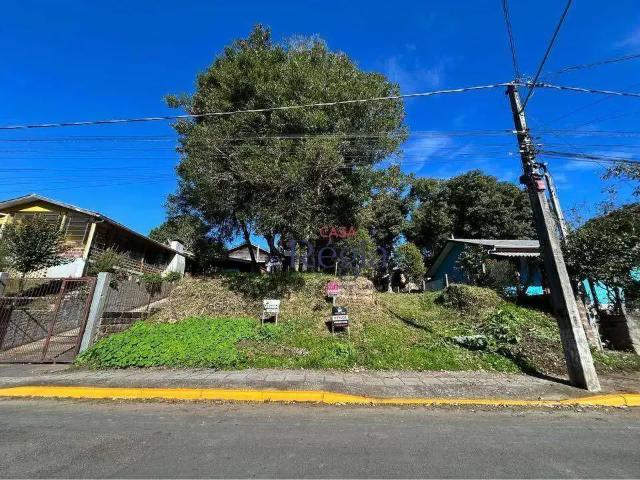 Terreno / Lote para Venda em Canela/RS Maggi