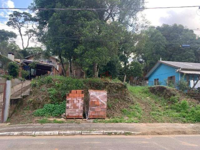 Terreno / Lote para Venda em Canela/RS Maggi