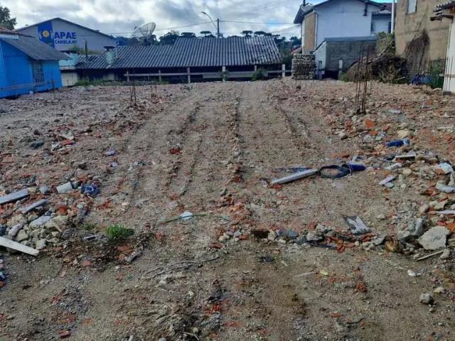 Terreno / Lote para Venda em Canela/RS Maggi