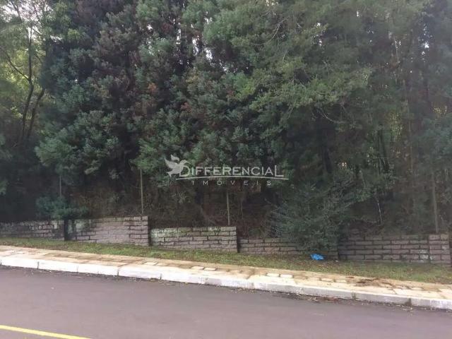Terreno / Lote para Venda em Canela/RS Maggi