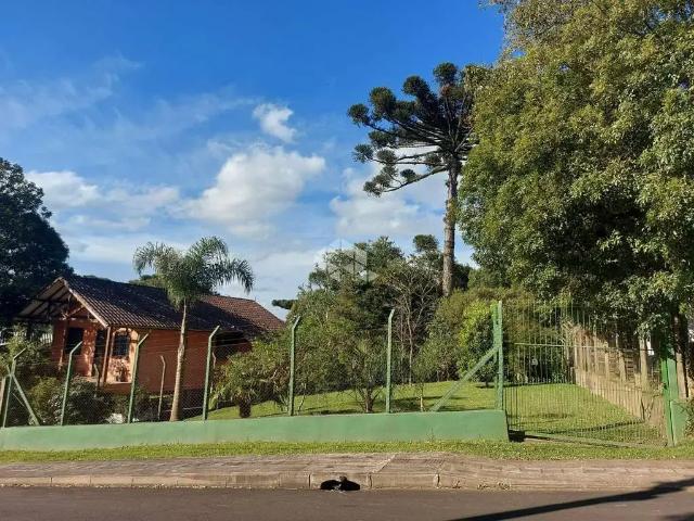Terreno / Lote para Venda em Canela/RS Maggi