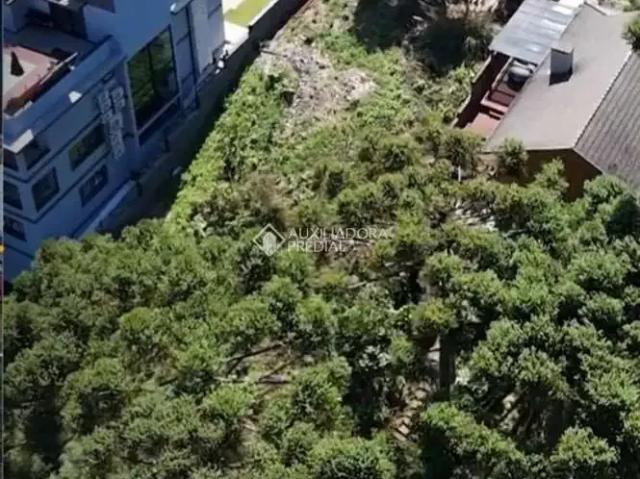 Terreno / Lote para Venda em Canela/RS Palace Hotel