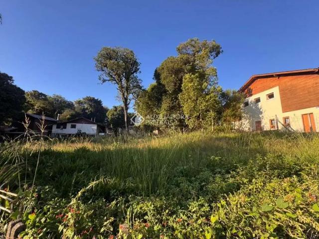 Terreno / Lote para Venda em Canela/RS Palace Hotel