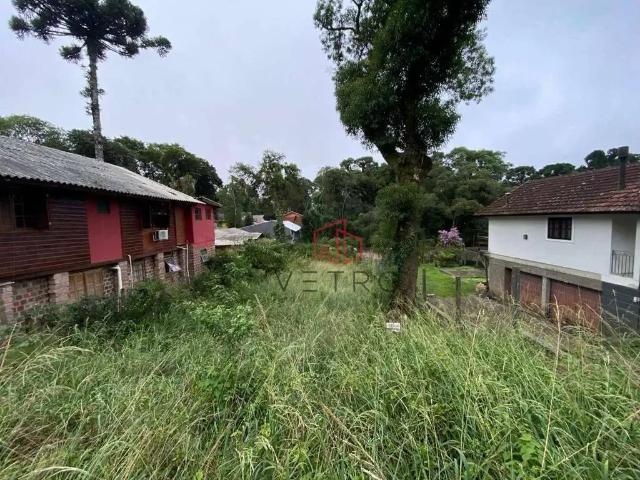 Terreno / Lote para Venda em Canela/RS Palace Hotel
