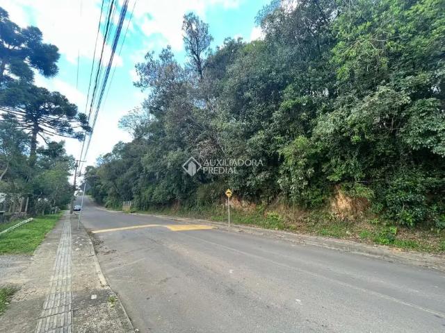Terreno / Lote para Venda em Canela/RS Palace Hotel