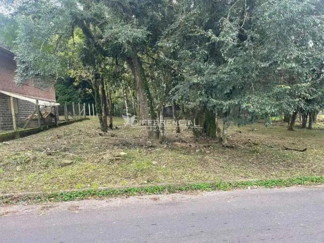 Terreno / Lote para Venda em Canela/RS Palace Hotel