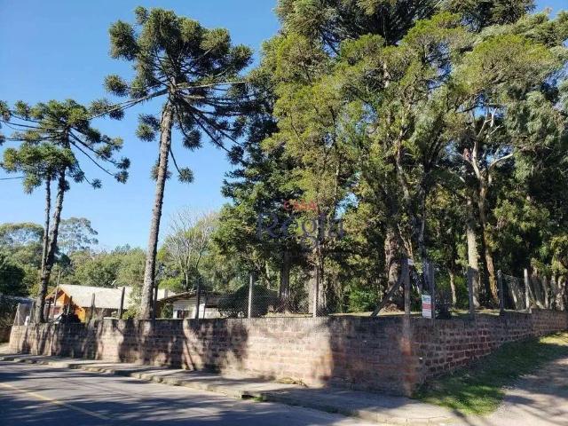 Terreno / Lote para Venda em Canela/RS Palace Hotel