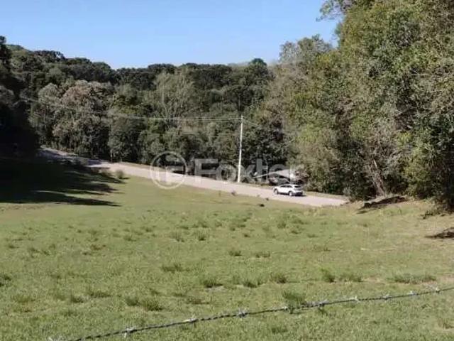 Terreno / Lote para Venda em Canela/RS Parque da Ferradura