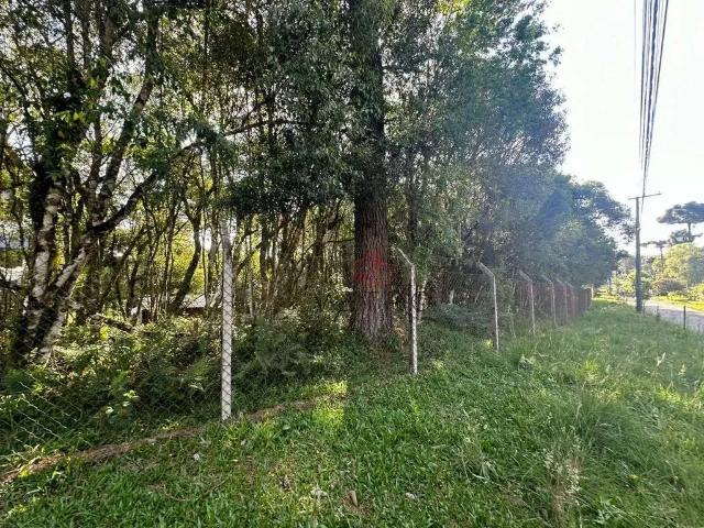 Terreno / Lote para Venda em Canela/RS Parque das Hortênsias