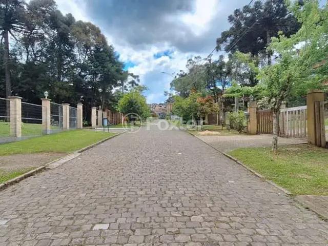 Terreno / Lote para Venda em Canela/RS Parque Laje da Pedra