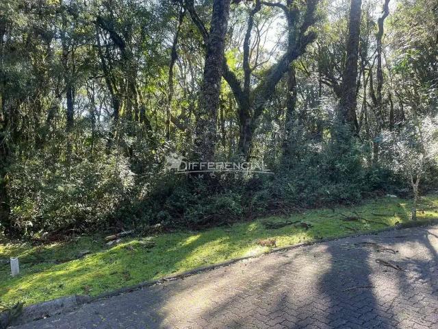 Terreno / Lote para Venda em Canela/RS Parque Pinheiro Grosso