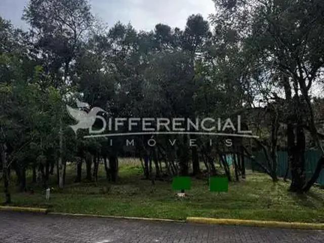 Terreno / Lote para Venda em Canela/RS Parque Pinheiro Grosso