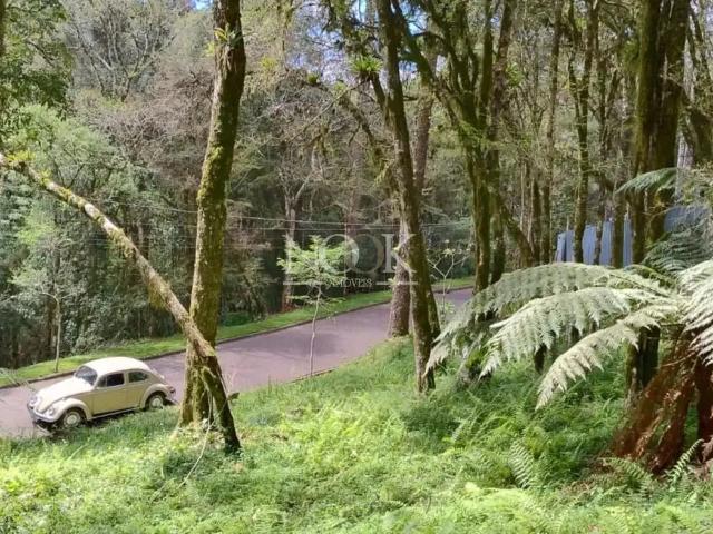 Terreno / Lote para Venda em Canela/RS Pinheiro Grosso