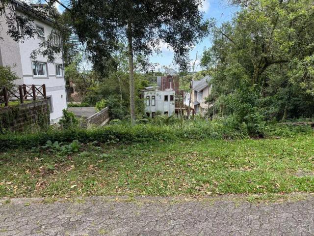 Terreno / Lote para Venda em Canela/RS Quinta da Serra