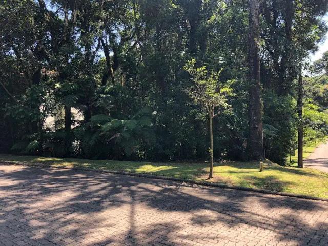Terreno / Lote para Venda em Canela/RS Reserva da Serra
