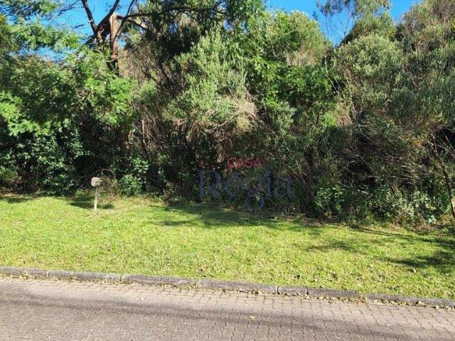 Terreno / Lote para Venda em Canela/RS Reserva da Serra