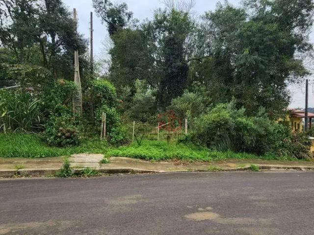 Terreno / Lote para Venda em Canela/RS São José