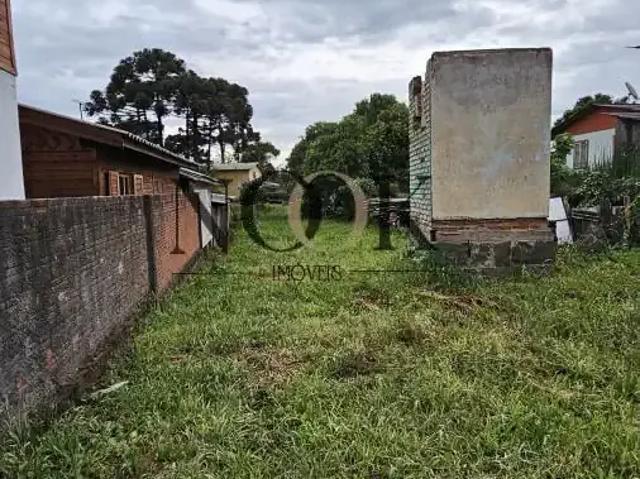 Terreno / Lote para Venda em Canela/RS São Lucas