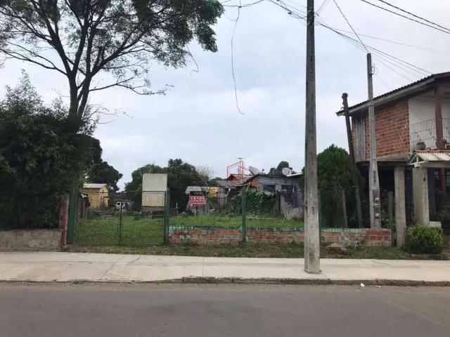 Terreno / Lote para Venda em Canela/RS São Lucas
