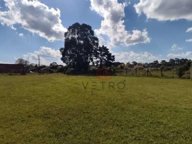 Terreno / Lote para Venda em Canela/RS São Lucas