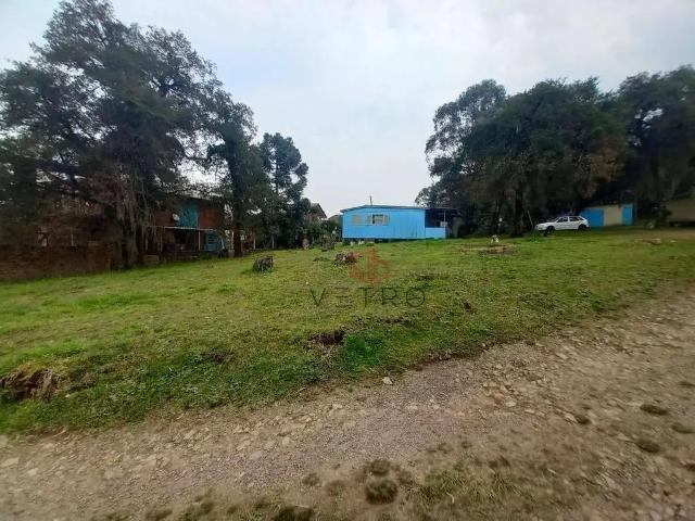 Terreno / Lote para Venda em Canela/RS São Luiz