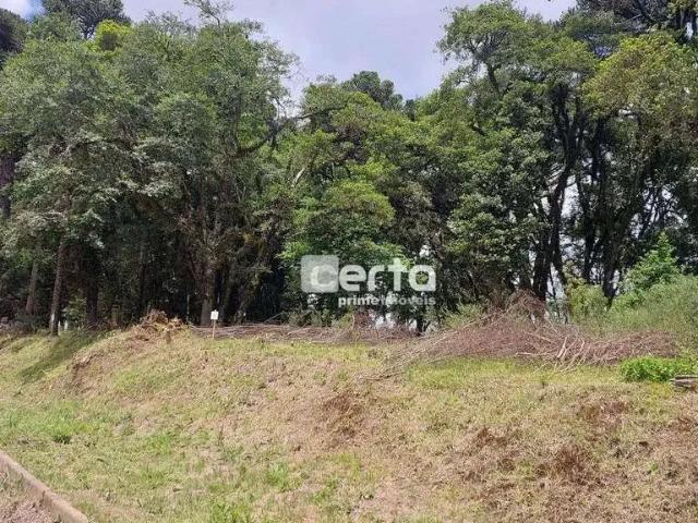 Terreno / Lote para Venda em Canela/RS São Luiz