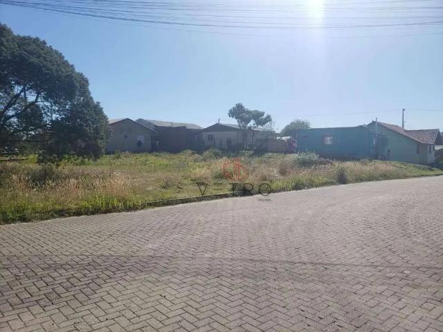 Terreno / Lote para Venda em Canela/RS São Luiz