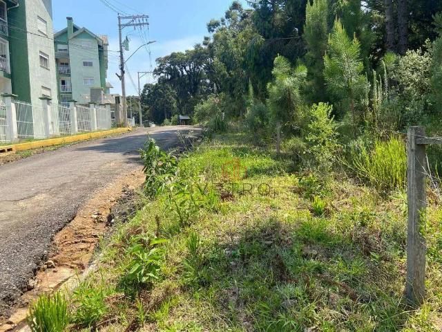 Terreno / Lote para Venda em Canela/RS São Luiz