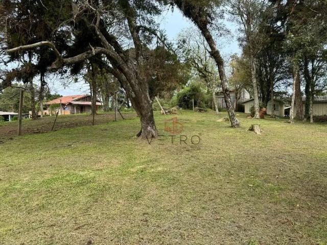 Terreno / Lote para Venda em Canela/RS São Rafael