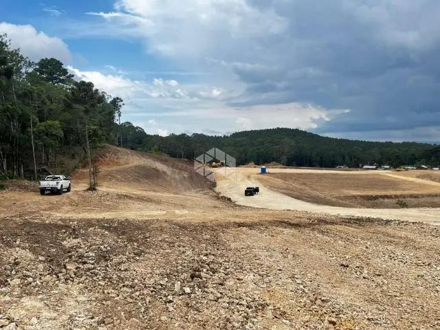 Terreno / Lote para Venda em Canela/RS Santa Terezinha